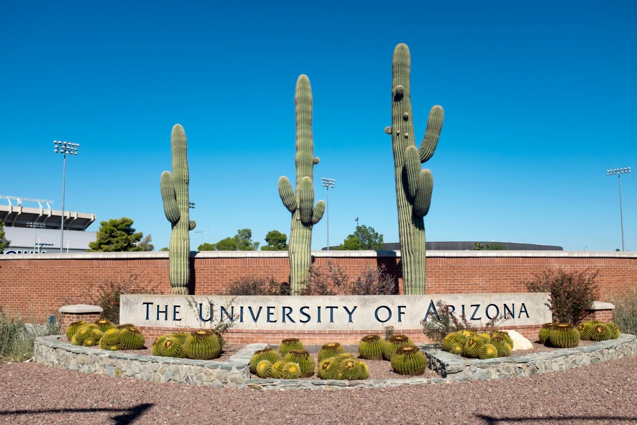 University Of Arizona Acceptance Rate 2023 University Of Arizona Acceptance Rate 2023